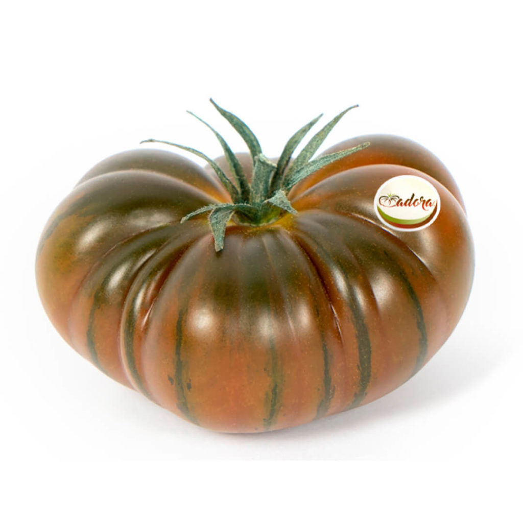 TOMATE ADORA | EXPORTFRUITS.COM - By Perez Group Import Export