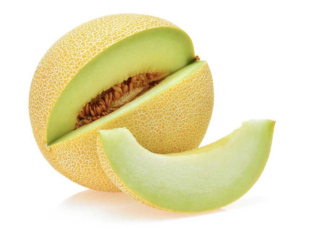 MELÓN GALIA | EXPORTFRUITS.COM - By Perez Group Import Export