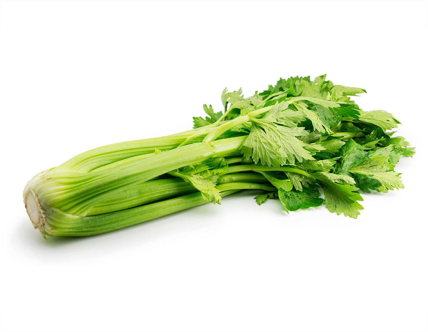 APIO | EXPORTFRUITS.COM - By Perez Group Import Export